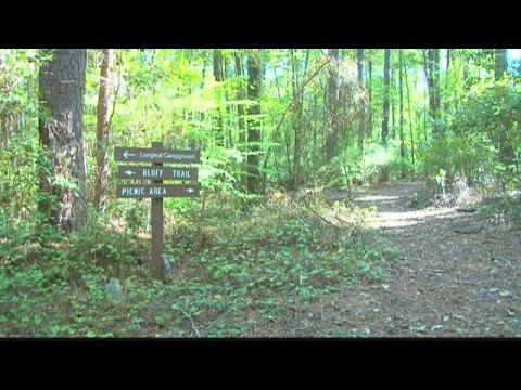 Bring the pets! Policy changes for some state park cabins