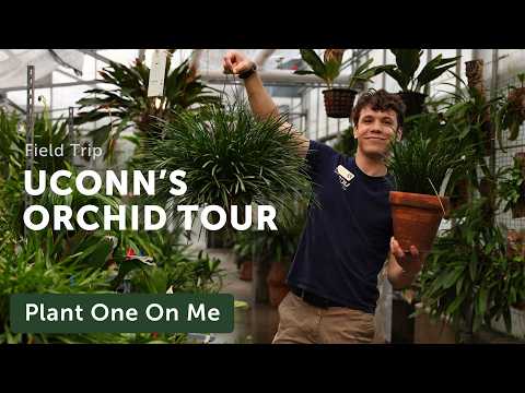 UConn's ORCHID GREENHOUSE Tour — Ep. 418