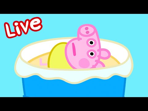 Peppa Pig BABY Episodes LIVE 🍼 The Cutest Babies in Peppa Pig! 🥹 Watch EVIE Now! 💛 Kids Cartoons