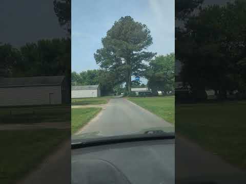 roads of Selbyville Delaware USA πΊπ² #may2024 #delaware #maryland #easternshore
