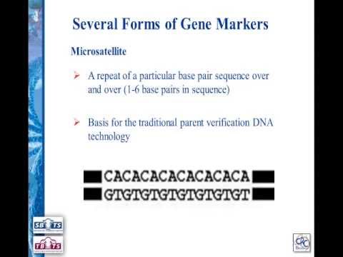 DNA Technology - Understanding the Basics