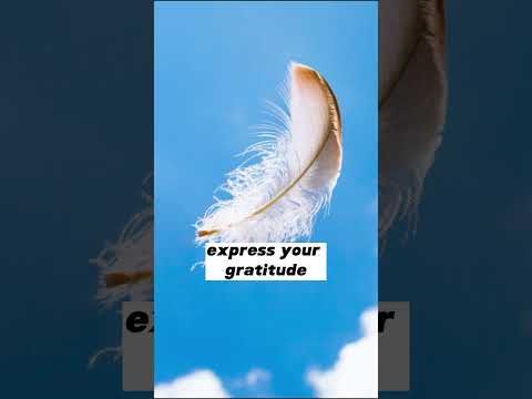 ANGEL MESSAGE FOR TODAY : WHITE FEATHERS