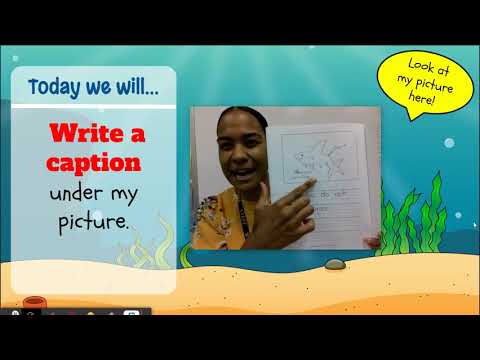 Grade 1: I can learn from captions - I can write a caption under my picture