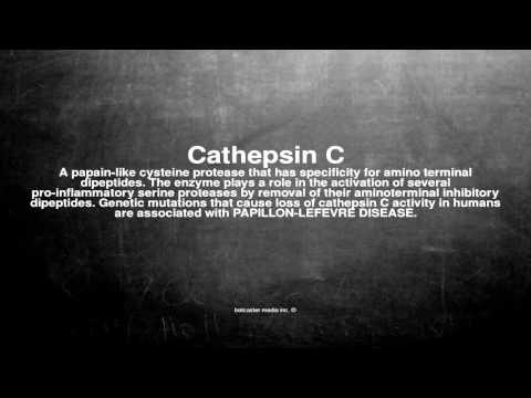 Medical vocabulary: What does Cathepsin C mean