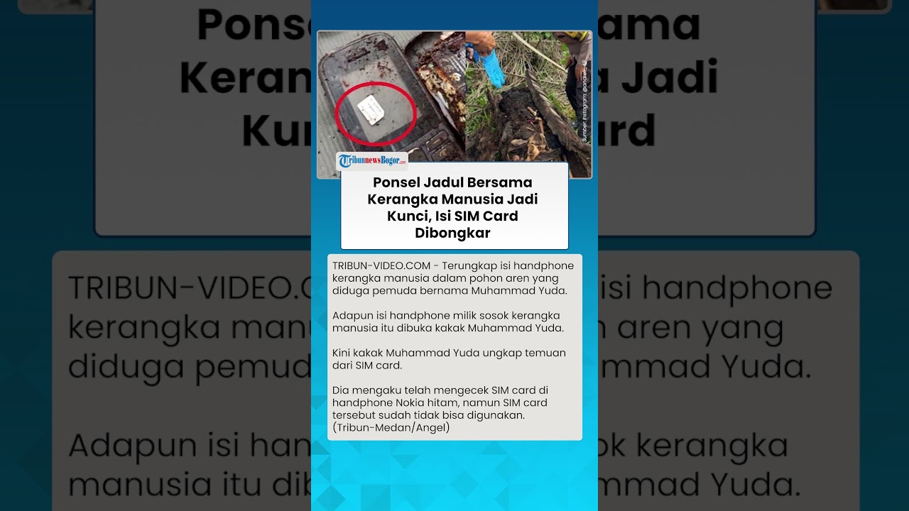PONSEL JADUL Bersama Kerangka Manusia Di Dalam Pohon Aren Jadi Kunci ...