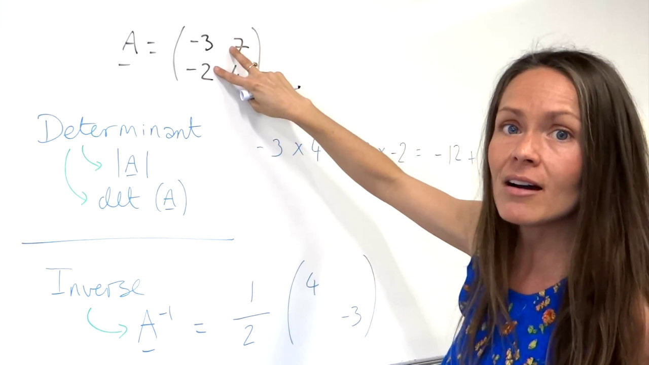 The Maths Prof: Matrices - Finding Determinant & Inverse