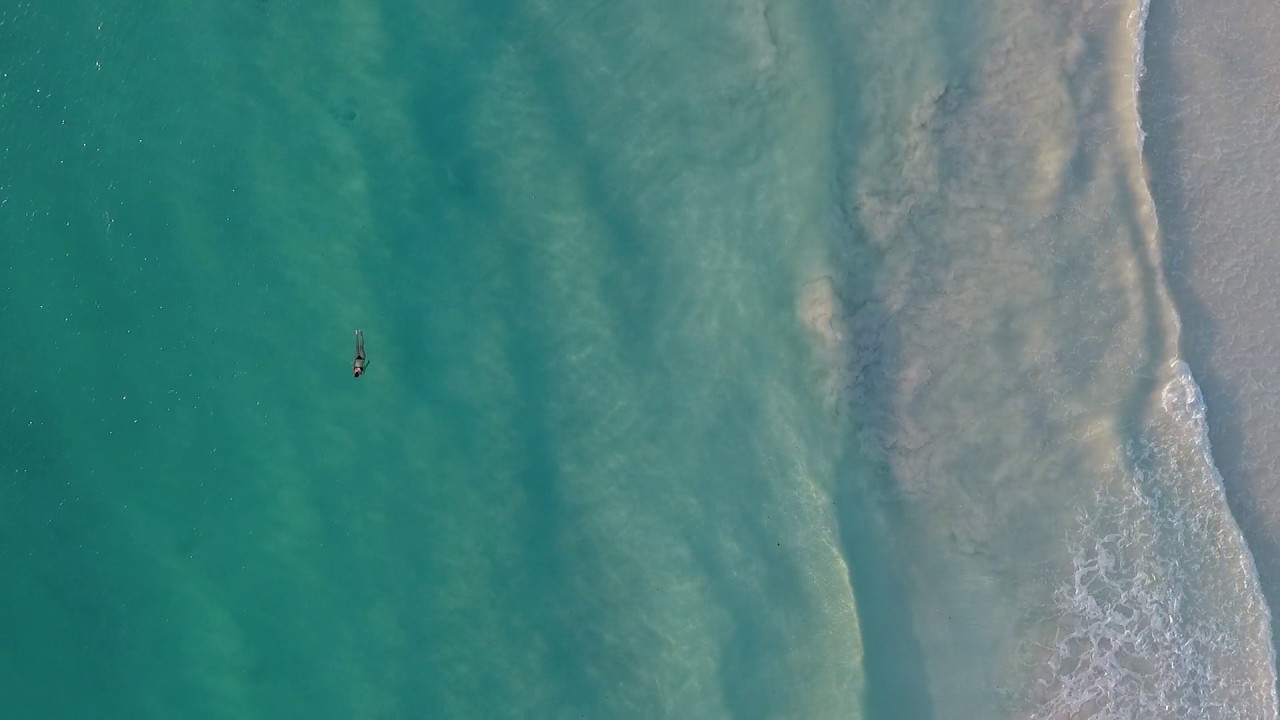 Lonely Blue Windows Live Wallpaper