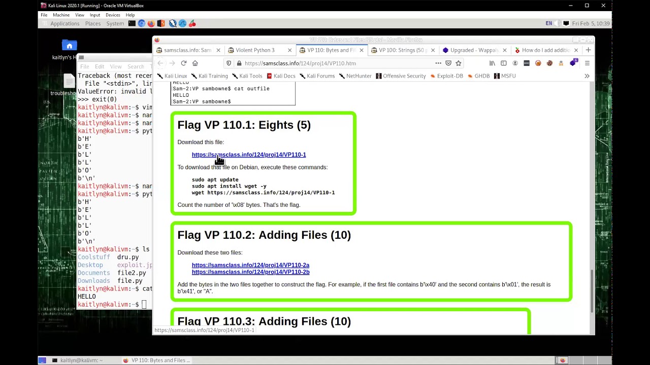 Bytes and Files in Python