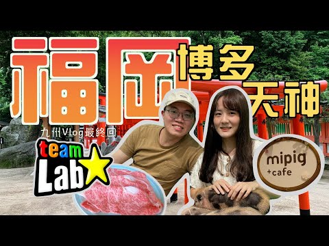 #行程分享 福岡市區可以做什麼？ 福岡五天四夜Day4+5 - 日本旅遊板 | Dcard