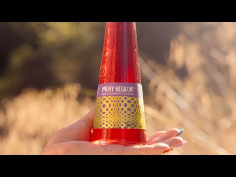 The Best-in-Class Phony Negroni.
