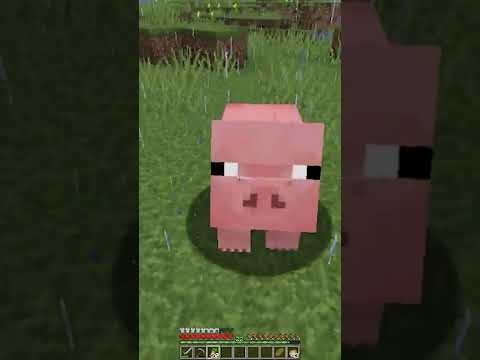 How to feed and breed Pigs in Minecraft | #shorts