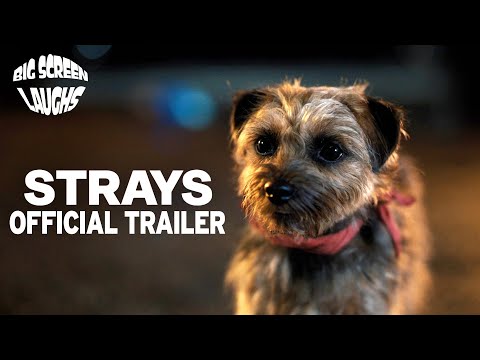 Strays (2023) | Official Red Band Trailer | Big Screen Laughs