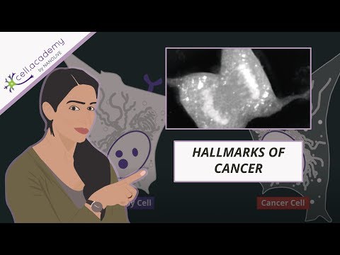 The hallmarks of cancer simply explained