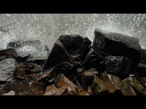 BeKZN Walks…Molweni Trail, Everton Conservancy – BirdLife eThekwini KZN