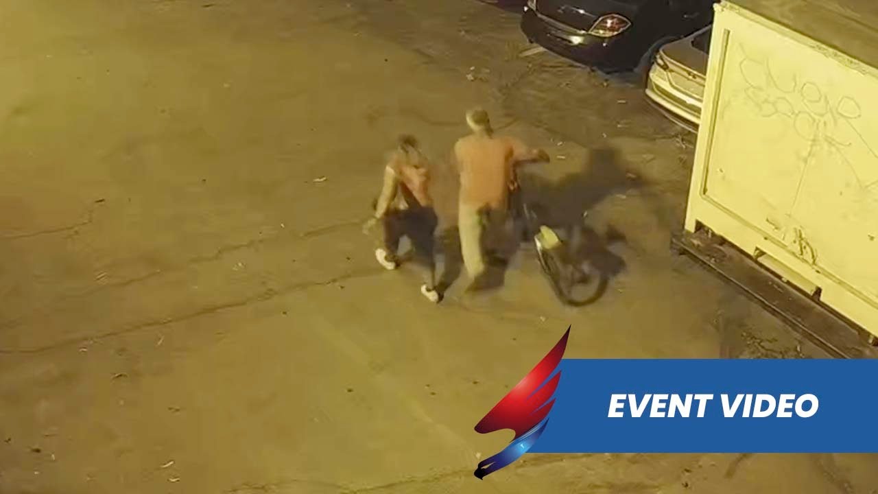 Alpha Video Surveillance Remote Guards Deter Transients