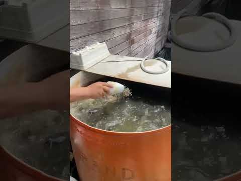 Budidaya Ikan Lele dari Drum Hasilnya Sunggu Luar Biasa