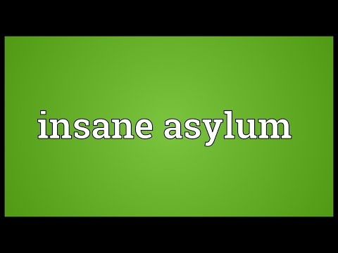 Insane asylum Meaning