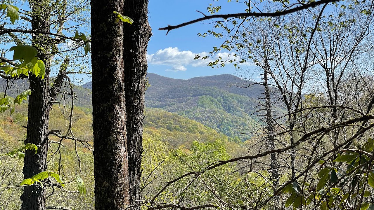 Appalachian Trail Hike: Max Patch to Lemon Gap 6.2 miles |#adventure #explore #hiking
