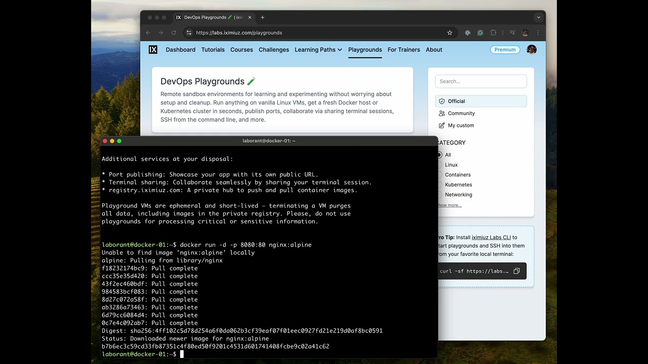 Expose HTTP(s) Services and Shell Sessions Using labctl