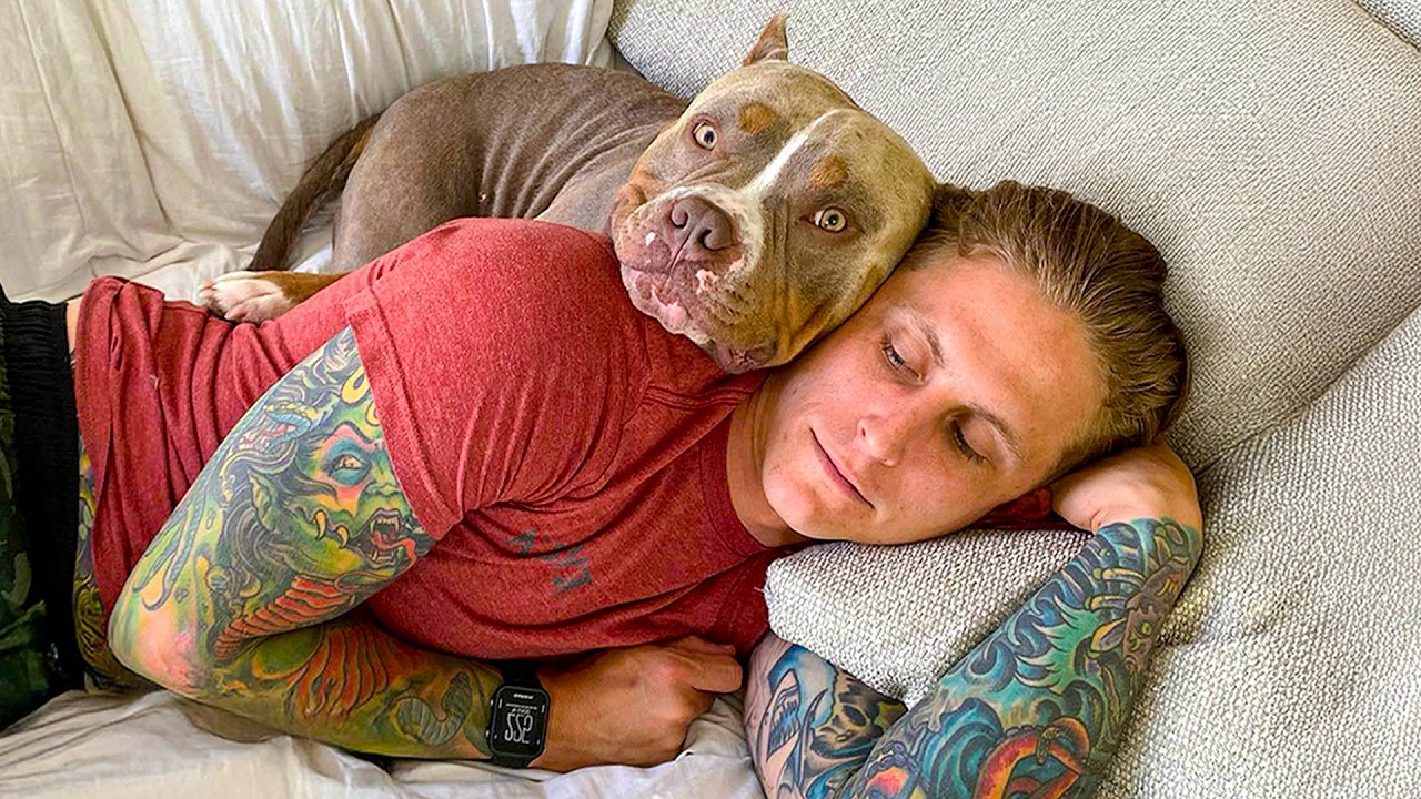 We Rescued a Pittie — and I Instantly Became The Third Wheel