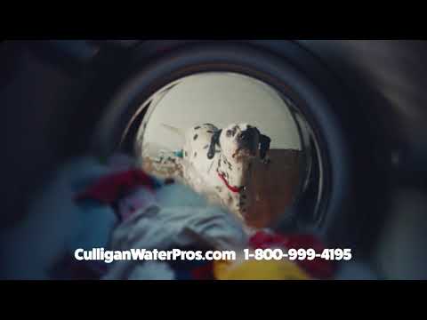CULLIGAN DOGS