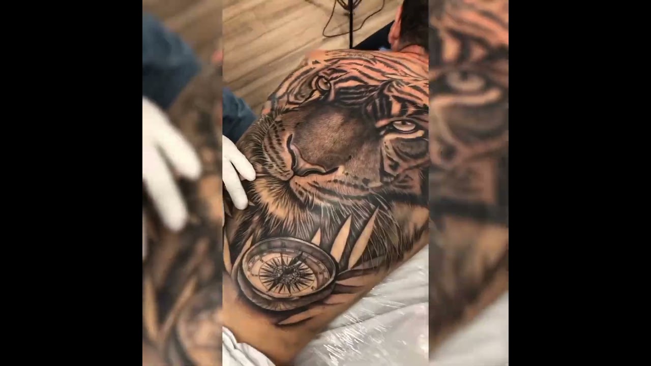 Lion tattoo  The Tattoo Castle #lion #liontattoo #lionfullbacktattoo #shorts #shortfeeds