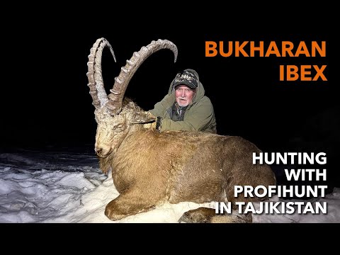 BUKHARAN IBEX HUNTING WITH PROFIHUNT IN TAJIKISTAN