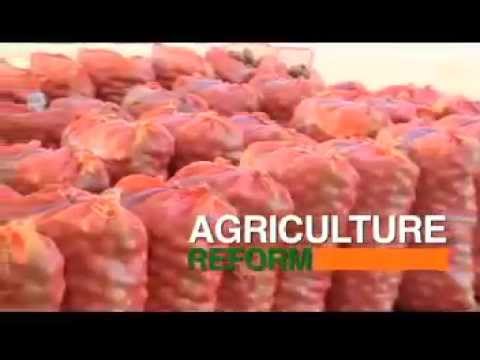 Smart Agriculture : Episodic Promo: Contract Farming