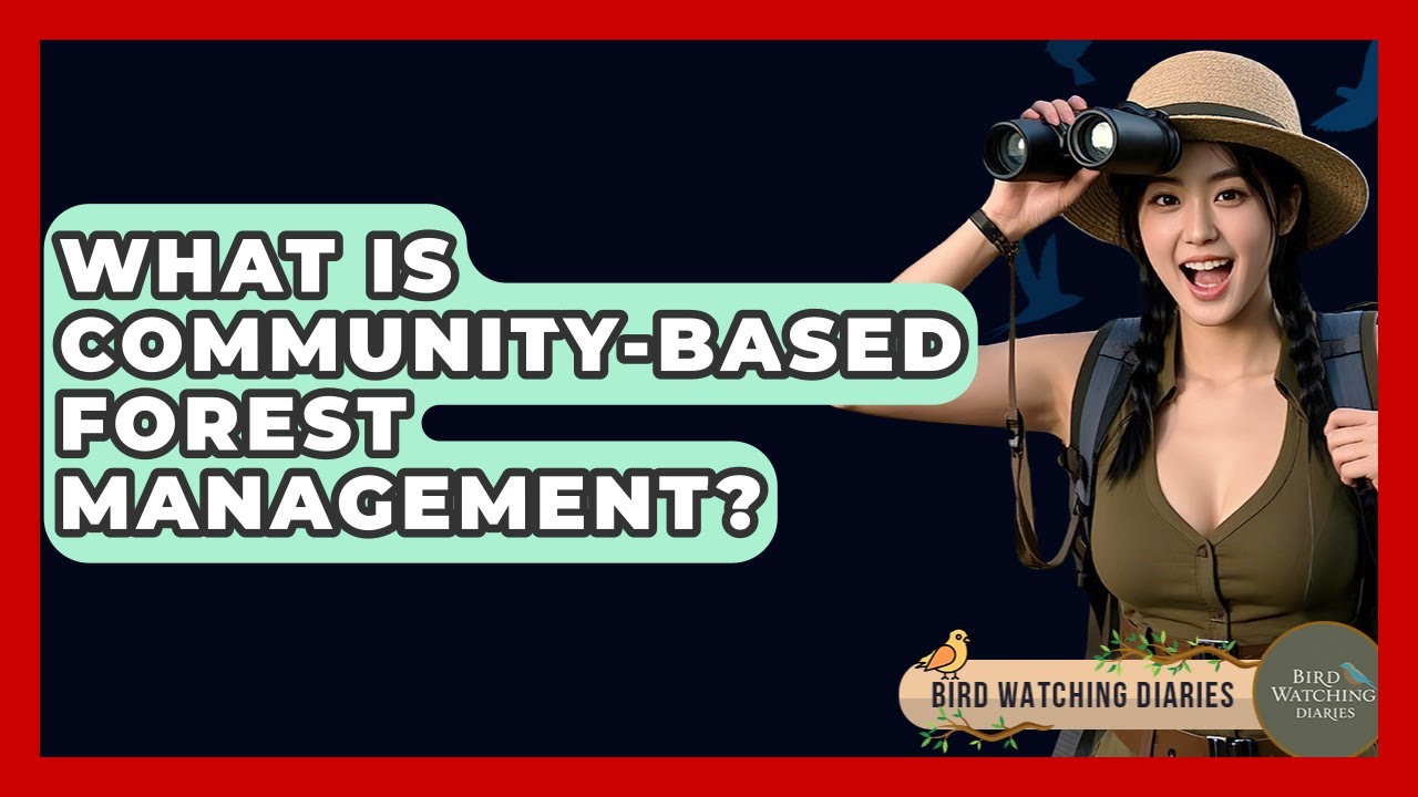 What Is Community-based Forest Management? - Bird Watching Diaries