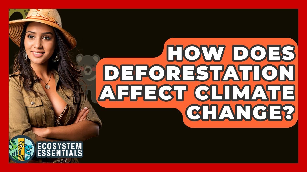 How Does Deforestation Affect Climate Change? - Ecosystem Essentials