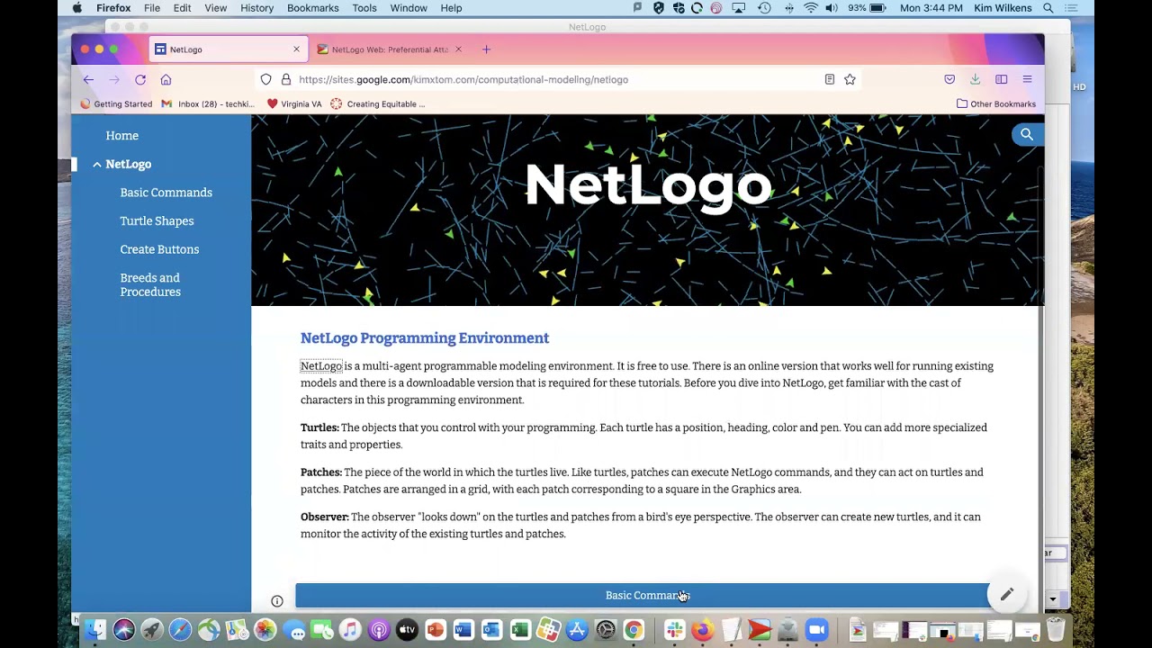 Basic Commands in NetLogo