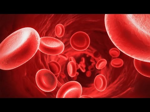 Why Do We Have Different Blood Types?