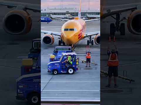 Airline Pilot Airport Reviews: ✨NEW✨ Denver International Observation Deck #shorts