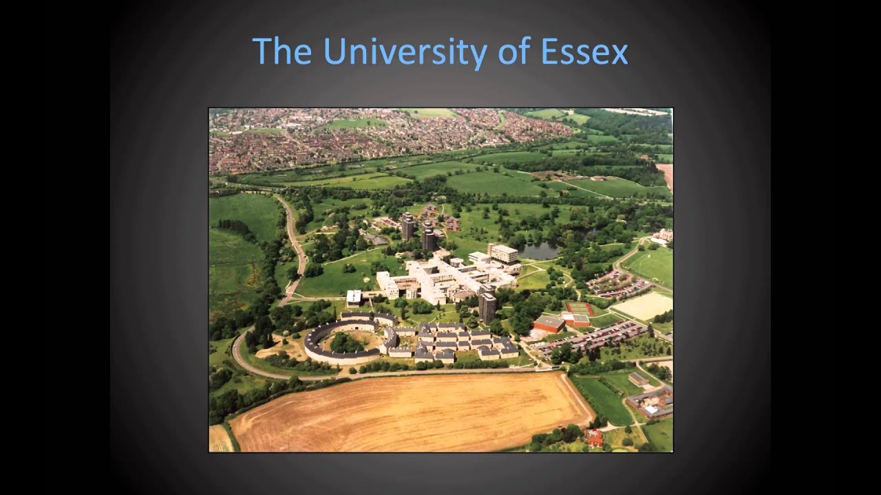 Embedded Research Collaborations: Case Studies.