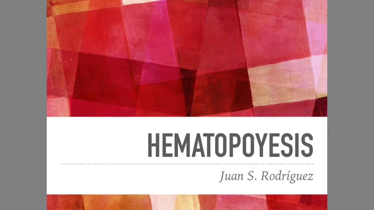 Hematopoiesis