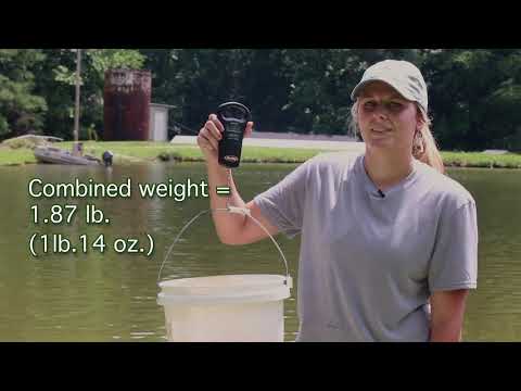 Megan Justice: How to Measure and Weigh Fish
