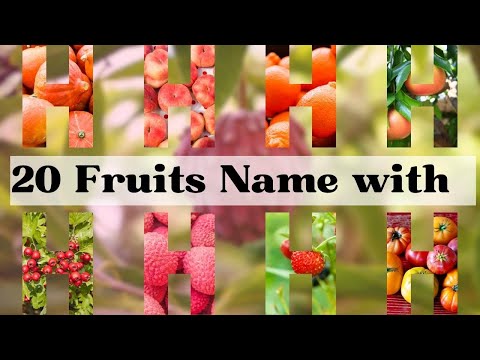The ABCs of Fruity Fun–Part 8: 20 Fruits Name start with Letter “H” and Boost Your Vocabulary