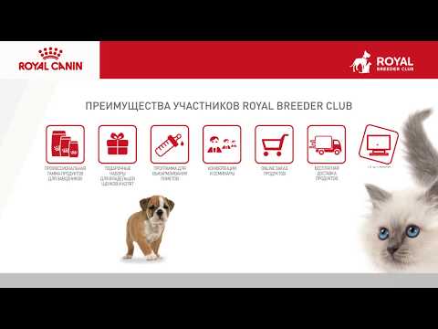 Royal Canin. Breeder club