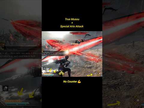 True Musou + Special Arts Attack - Dynasty Warriors Origins