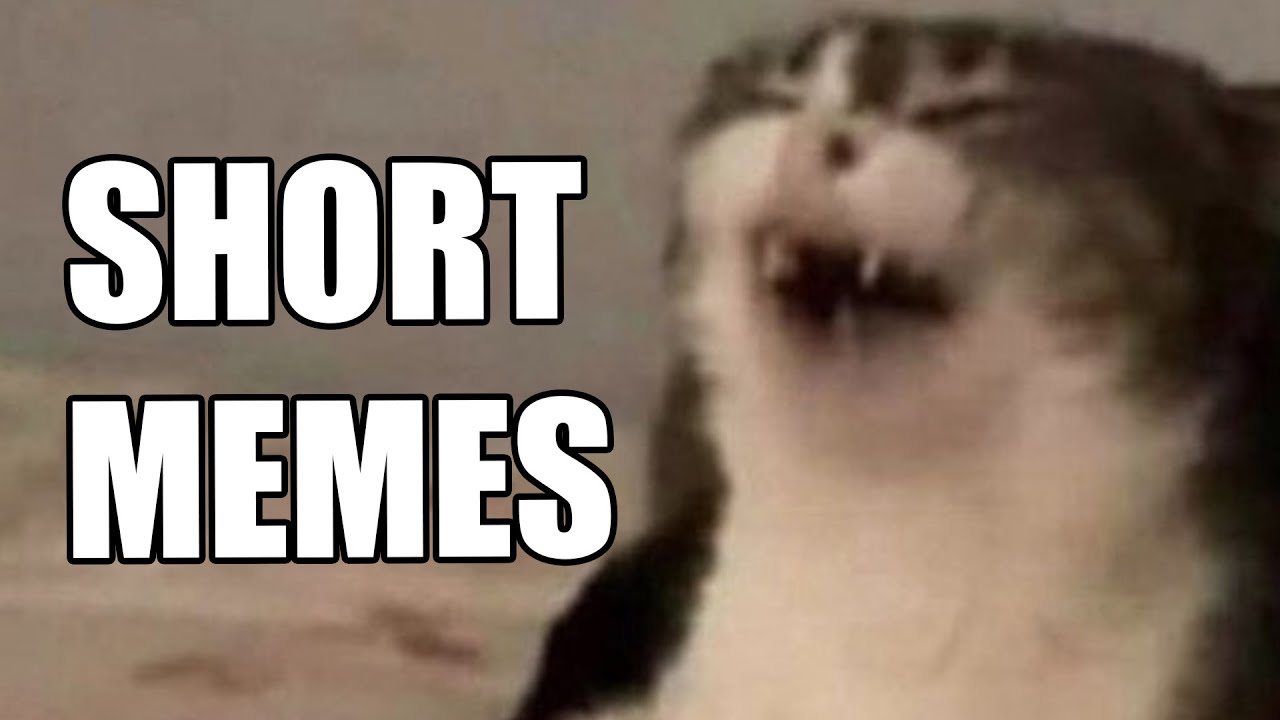 short memes and sneeze V109