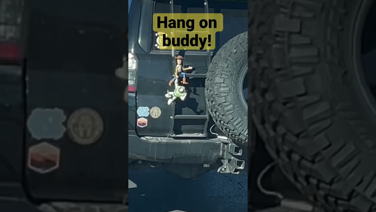 Woody & Buzz | Van Life Quickie