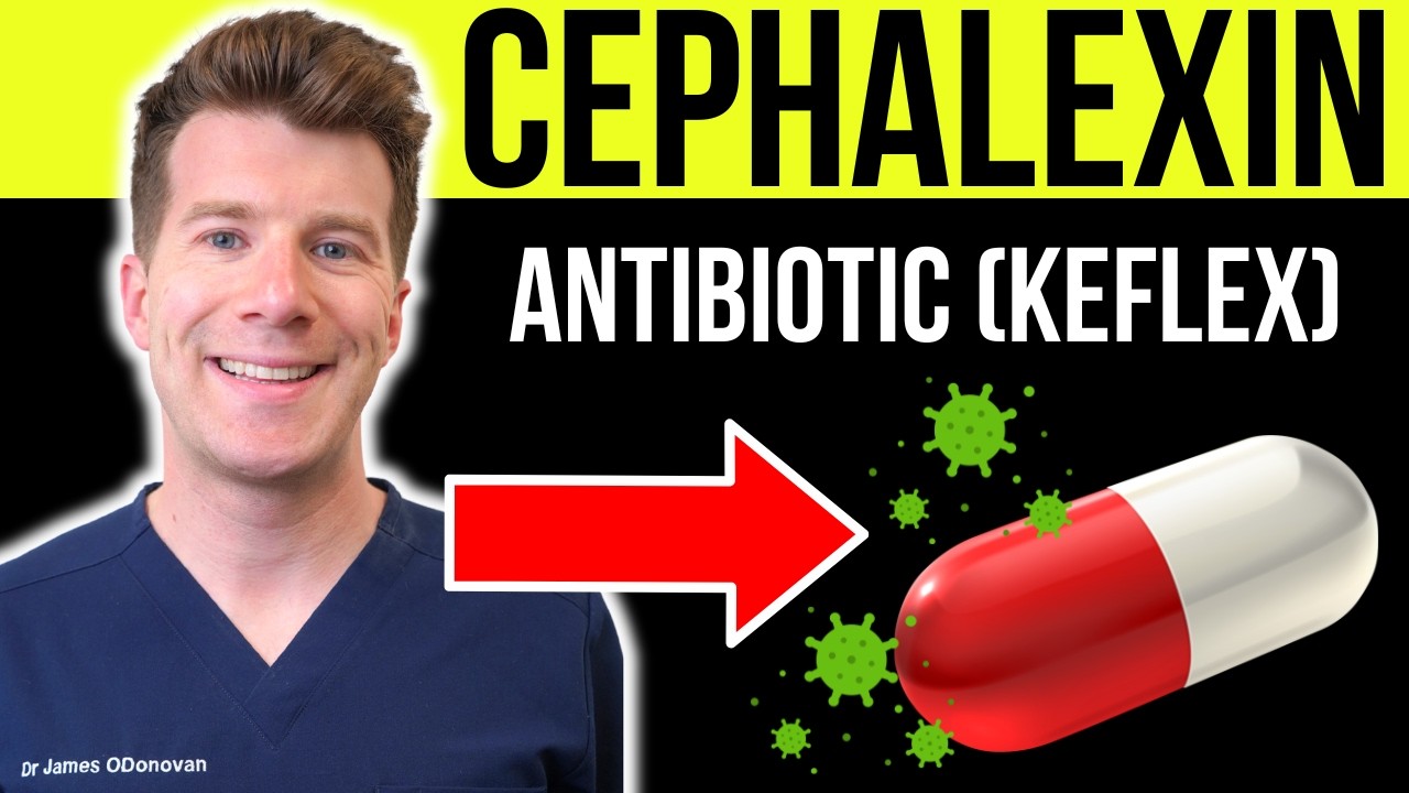 CEPHALEXIN antibiotic education | Uses, doses, side effects and more