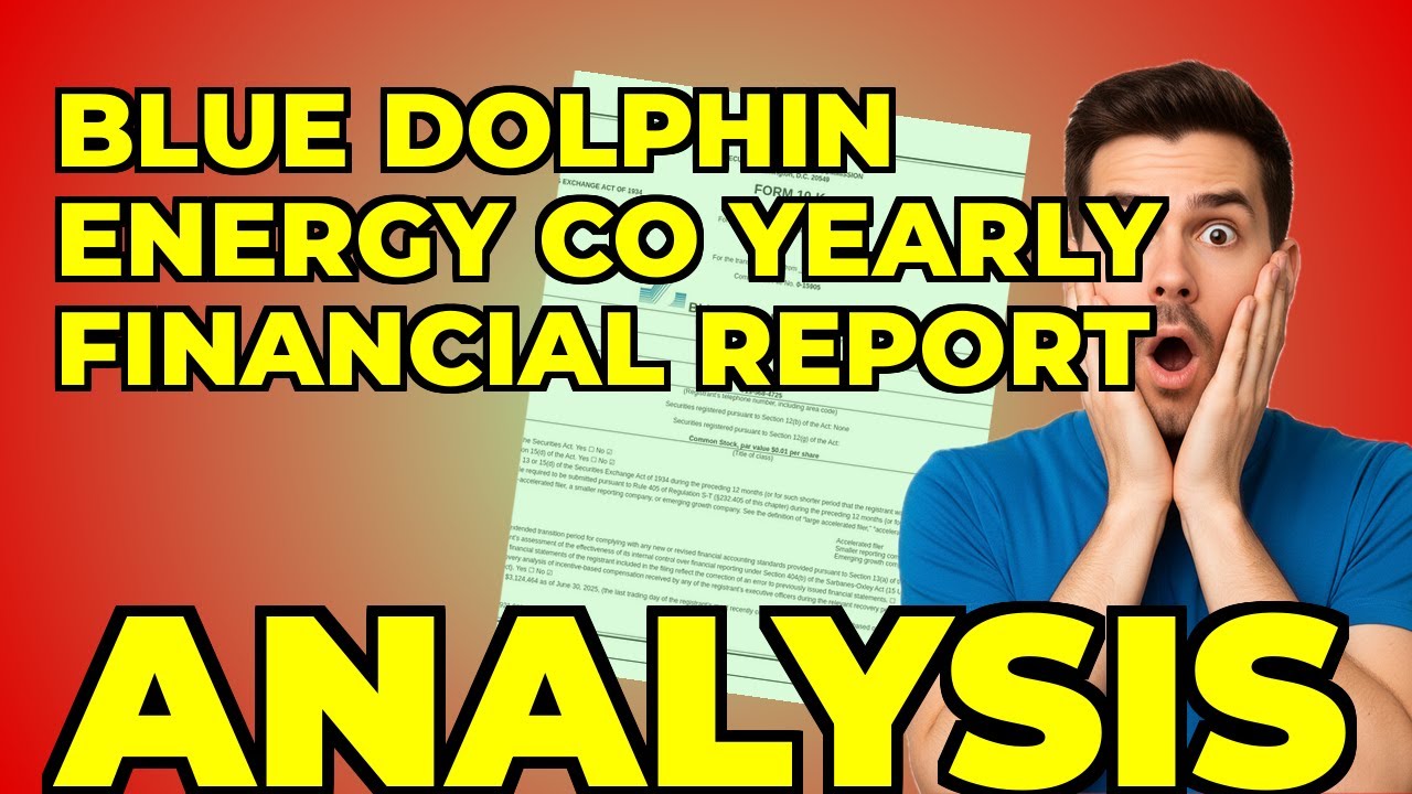 My Key Takeaway from Blue Dolphin Energy's 2025 Filing