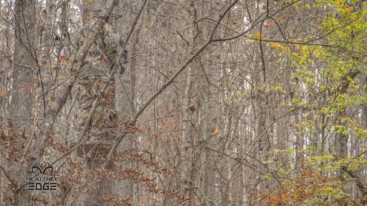 REALTREE EDGE - The Most EFFECTIVE CAMO PATTERN!