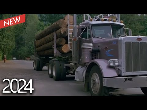 Cowboy Hollywood Movie🔥 Hollywood English Action Western Film ✨ Action Movie #1112