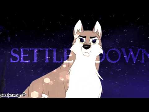 { Settle Down }