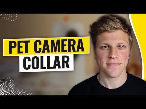 Pet Camera Collar (2025)