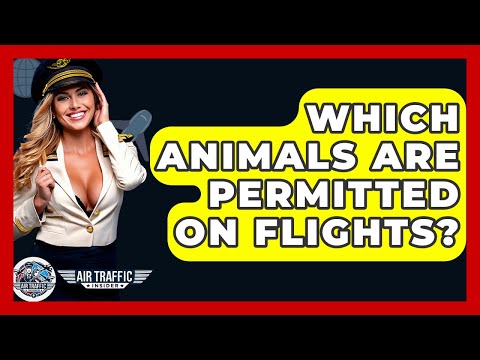 Which Animals Are Permitted On Flights? - Air Traffic Insider