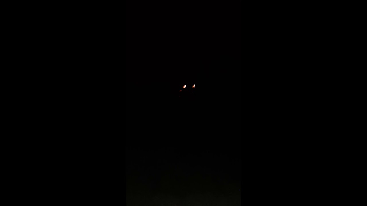 Warhawk Firework Rockets