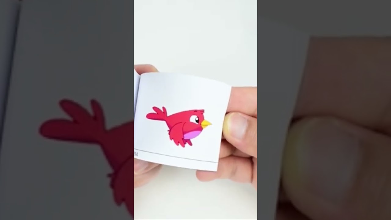 Bird flipbook #flipbook #foryou #drawing
